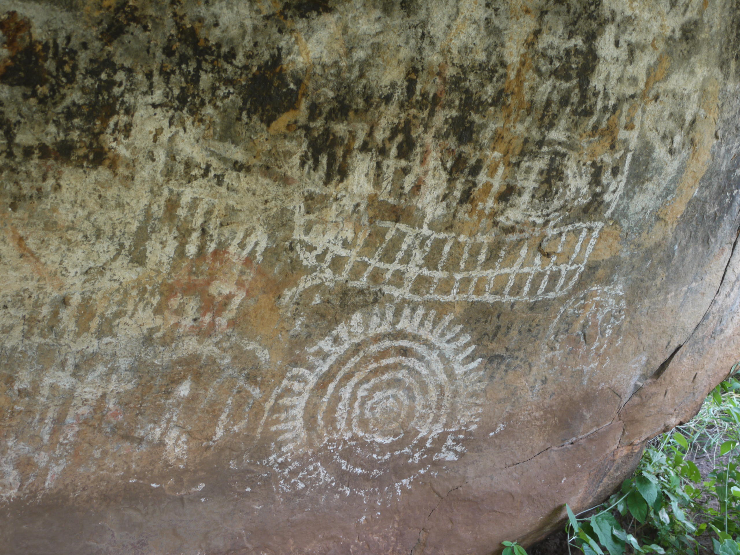 Experiences – Lewa House