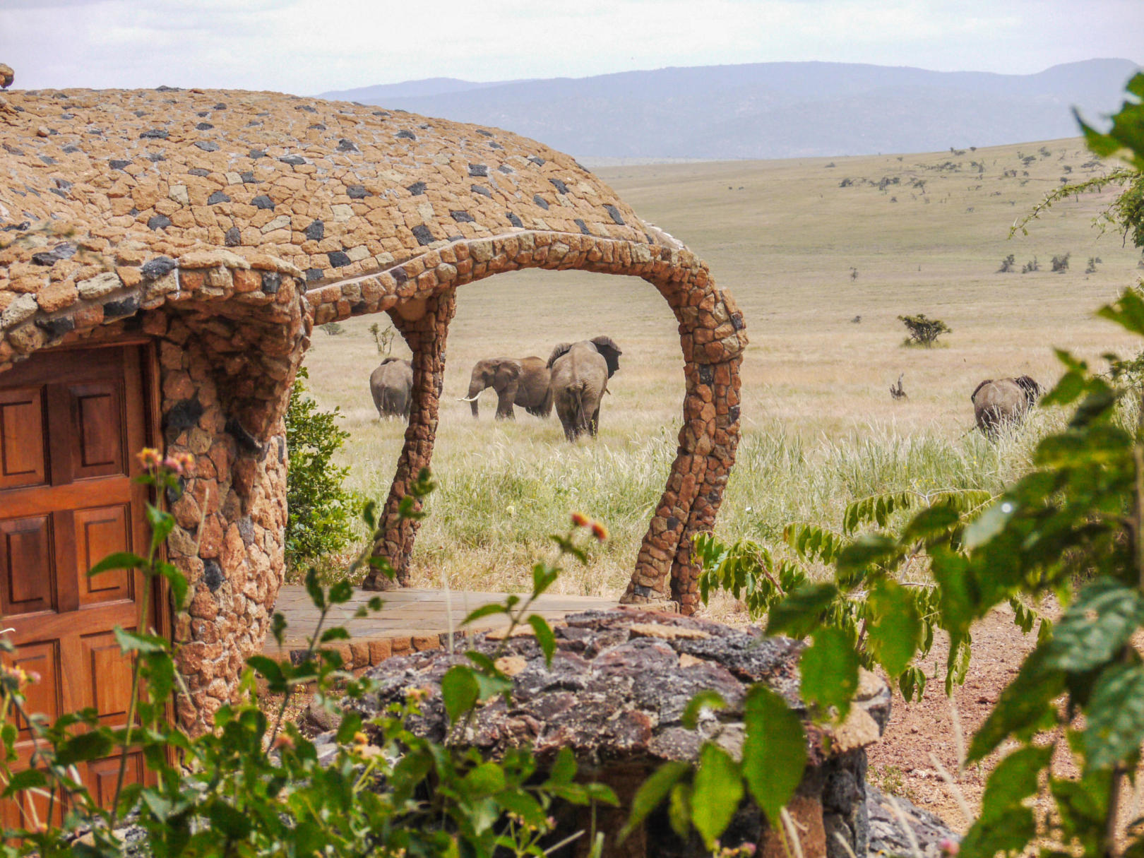 Earthpods – Lewa House