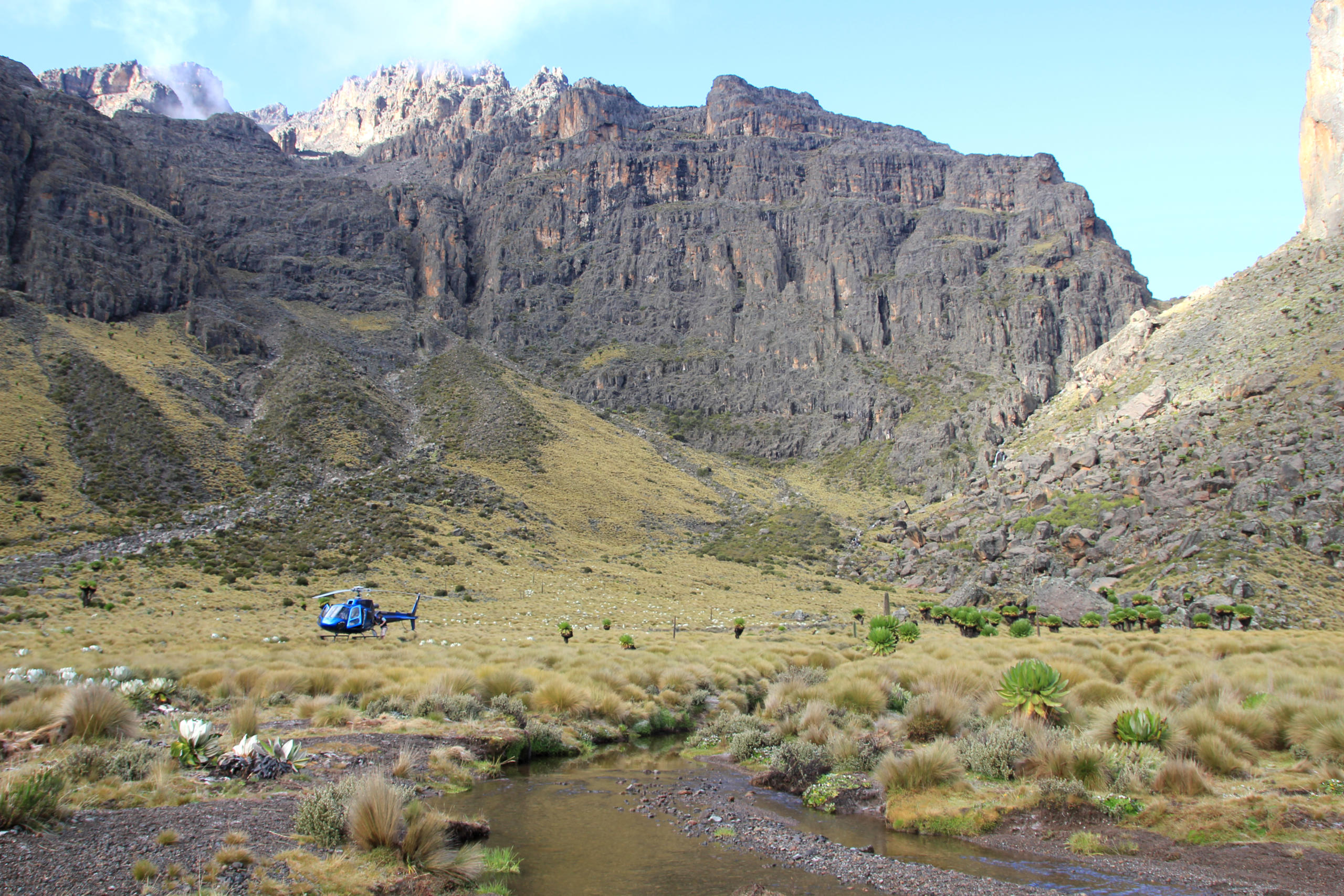 Experiences – Lewa House